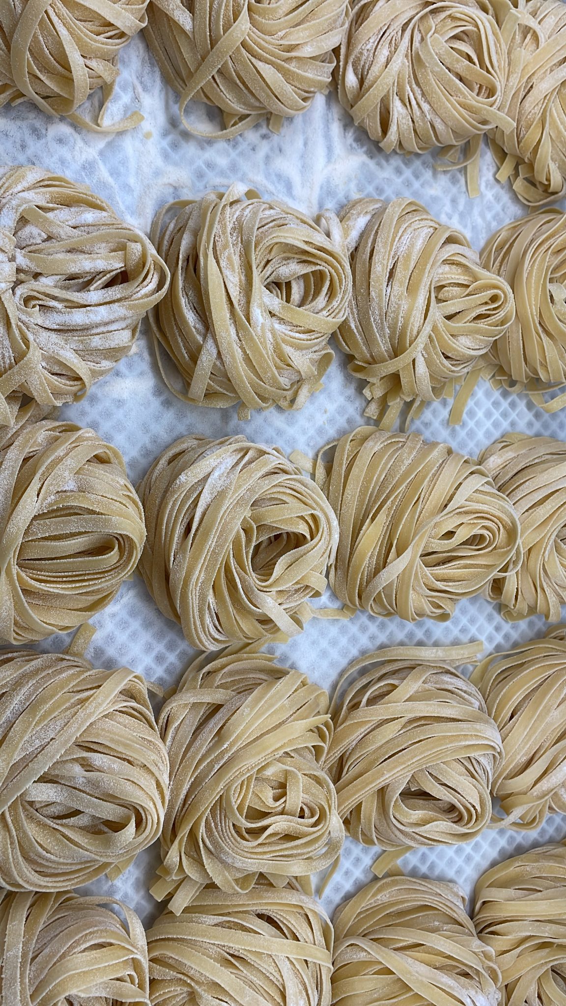 Fresh long pasta - MyPastalicious