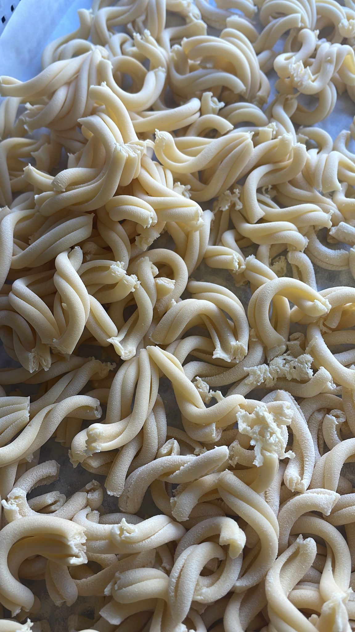 Short pasta - MyPastalicious