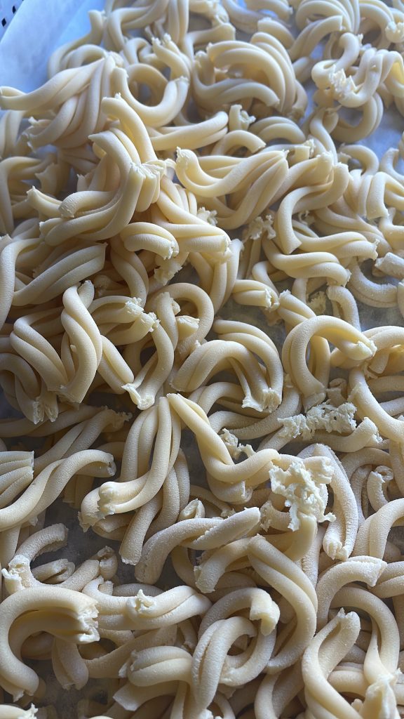 Short pasta - MyPastalicious